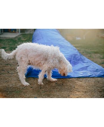 Pacific Play Tents Blue Dog Agility Chute - Macy's