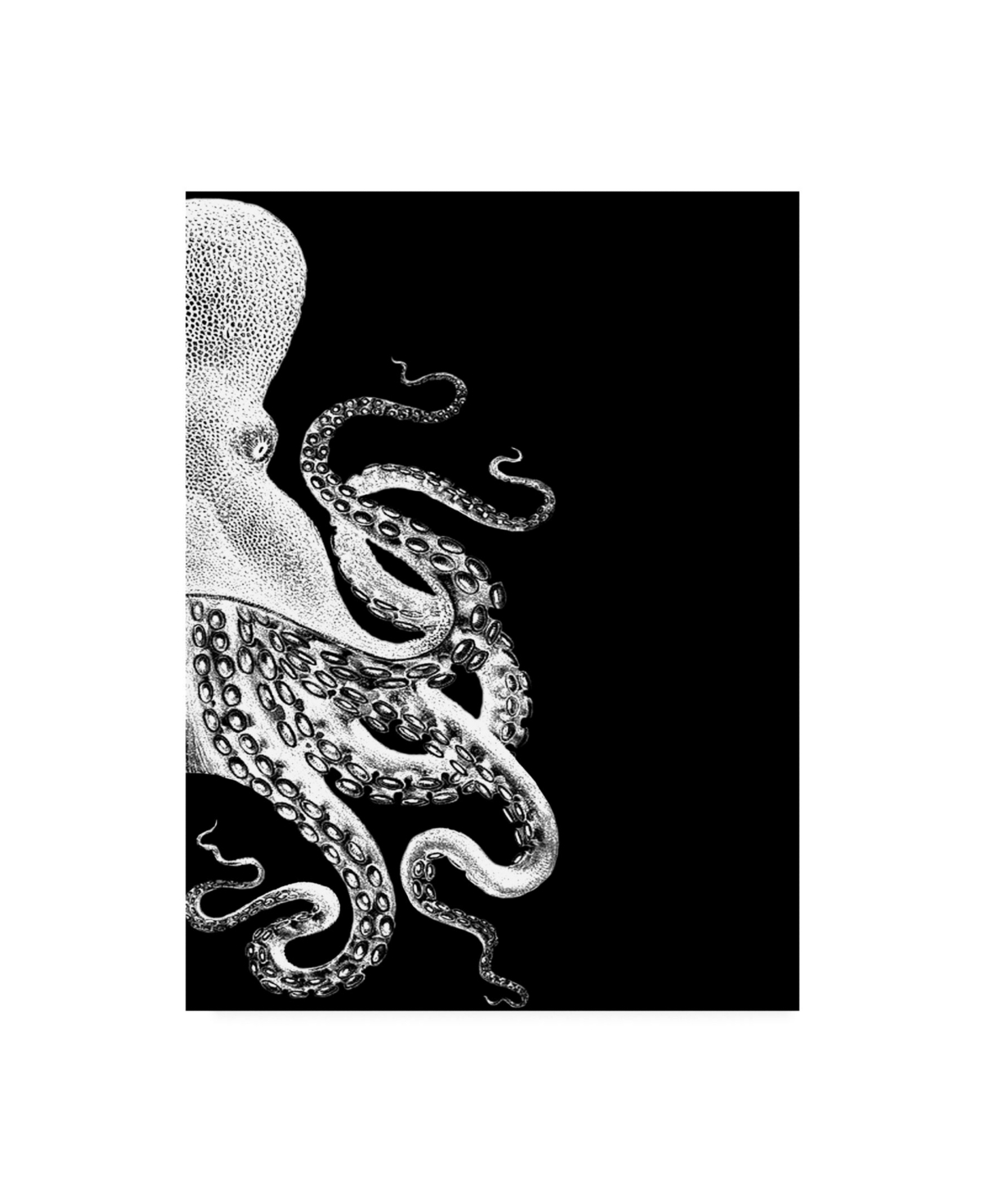 Click here for Fab Funky Octopus Black and White B Canvas Art - 1... prices