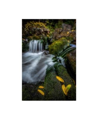 Dan Ballard Cascade Waterfall Canvas Art - 19.5" x 26" - Macy's