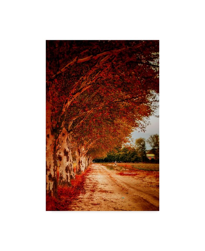 Trademark Global Pixie Pics Autumn Paths Canvas Art - 15" x 20" - Macy's