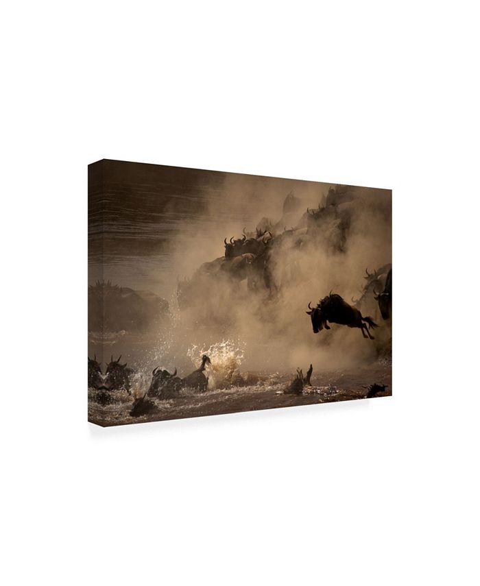Trademark Global Adrian Wray The Great Wildebeest Migration Canvas Art ...