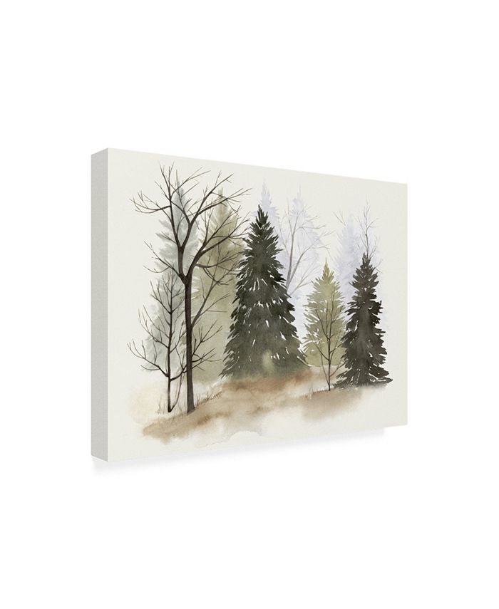 Trademark Global Grace Popp In the Mist II Canvas Art - 20" x 25" - Macy's