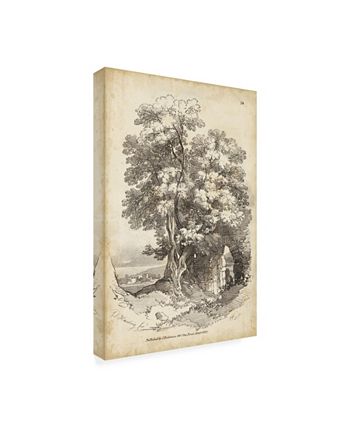 Trademark Global J.D. Harding Noble Tree II Canvas Art - 20" x 25" - Macy's