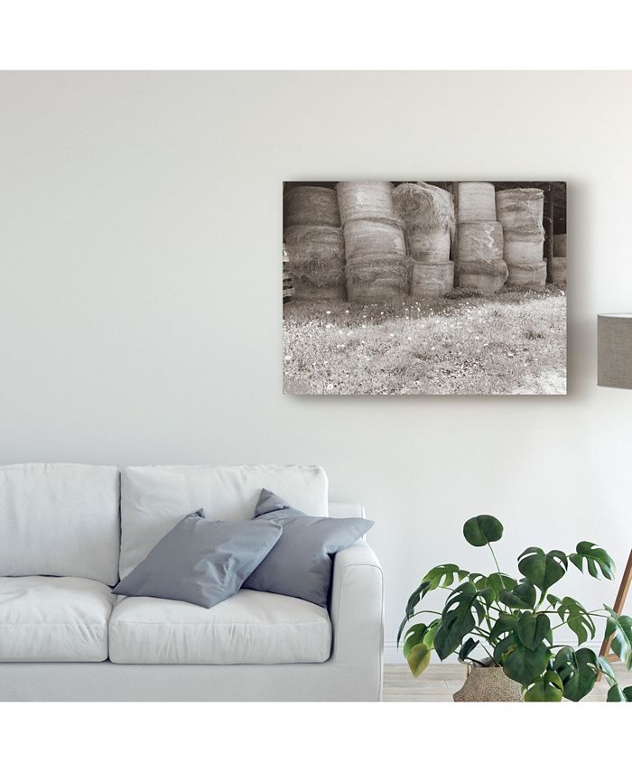 Trademark Global Alicia Ludwig Sepia Farm Study V Canvas Art - 15" x 20 ...