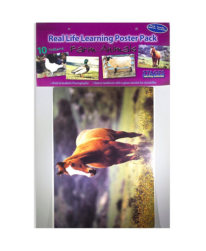 Stages Learning Materials Real Photo Farm Animal Poster Set - Macy's