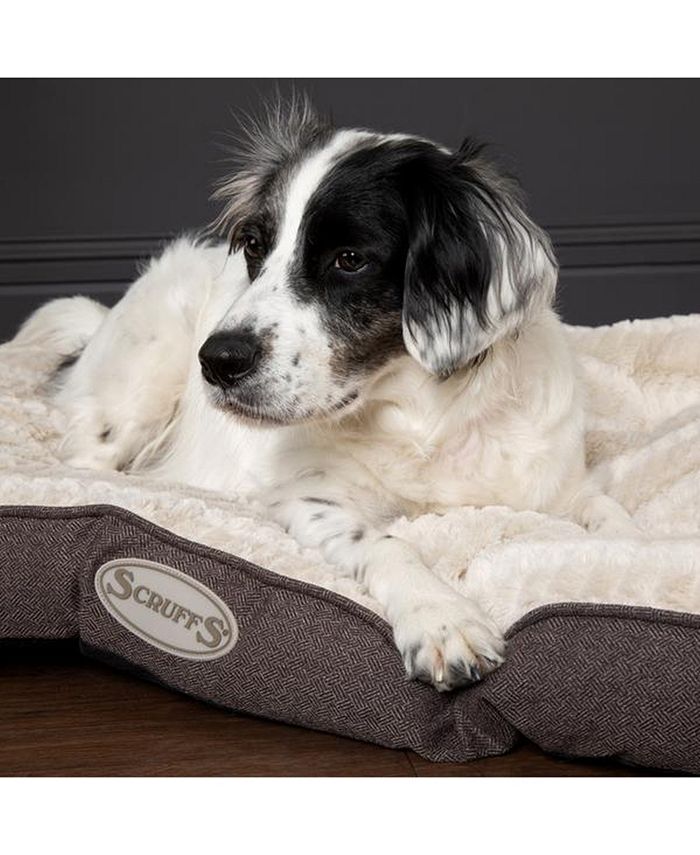 Park & Bench Scruffs Ellen Dog Mattress - Macy's