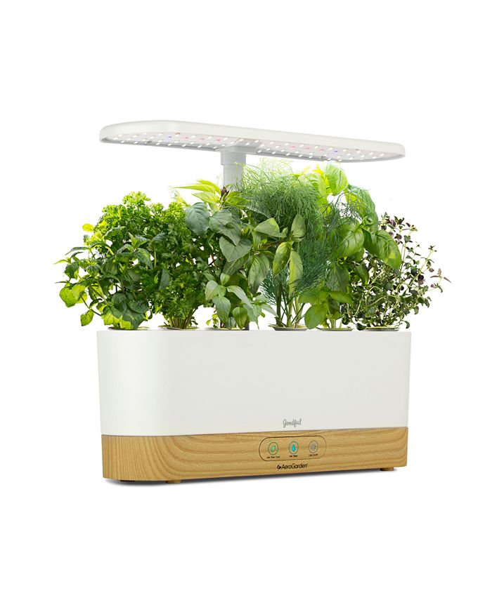 AeroGarden Goodful™ by Harvest Slim White with Wood Base and Gourmet ...