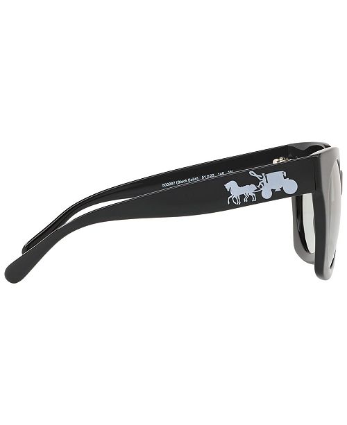 COACH Sunglasses, HC8250 51 L1047 & Reviews - Sunglasses by Sunglass ...
