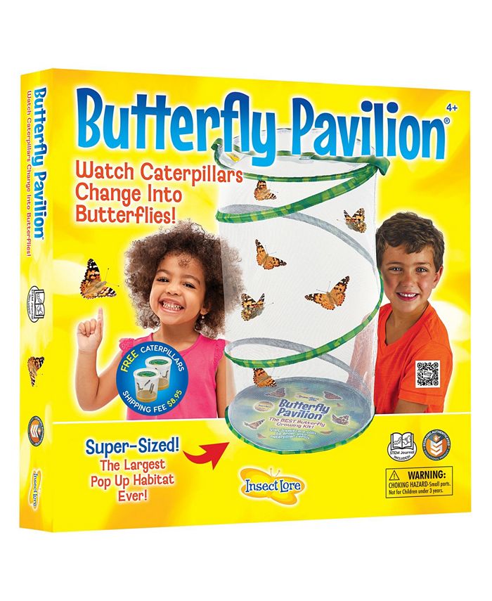 Insect Lore STEM Educational Butterfly Life Cycle Growing Kit - Macy's