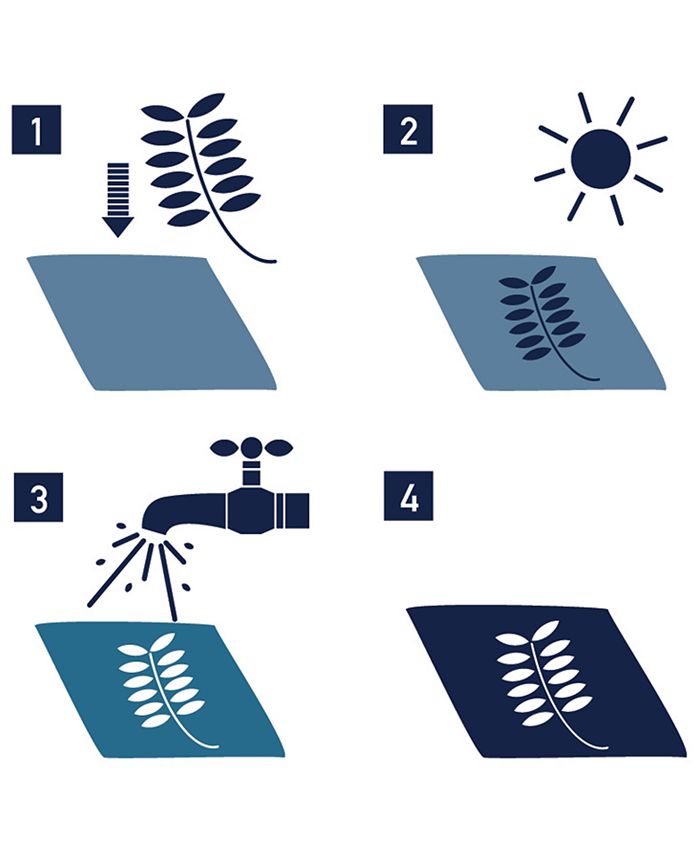 Noted Sunography - Solar Powered Photography - Macy's