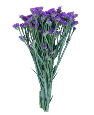 Magnolia Supply Co Fresh Purple Statice Bundle - Macy's