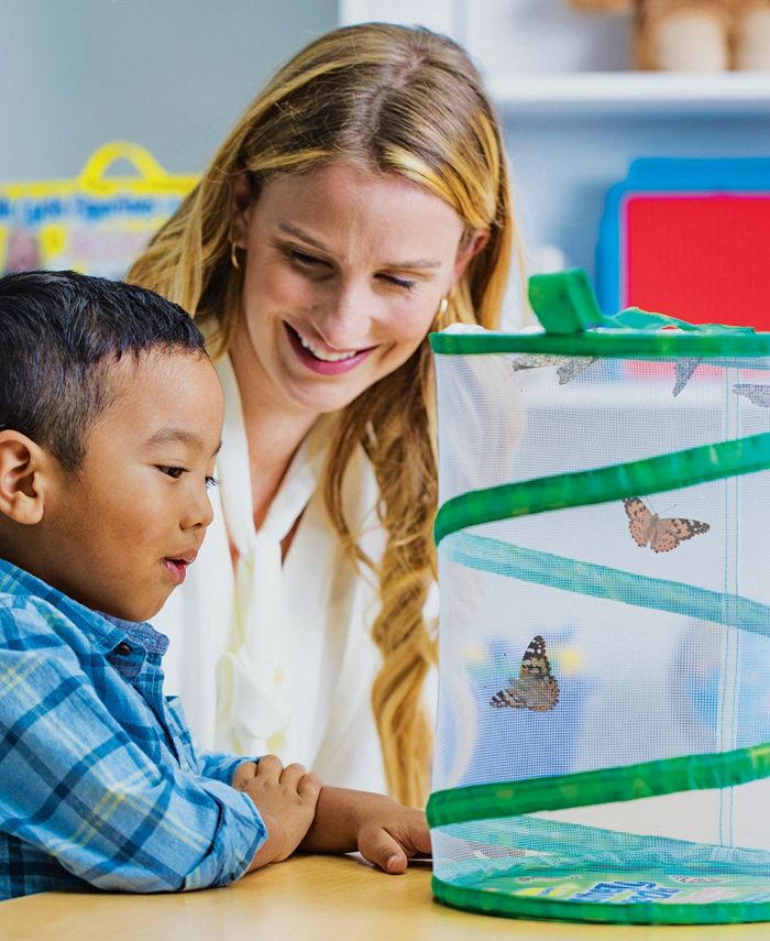 Insect Lore STEM Educational Butterfly Life Cycle Growing Kit - Macy's