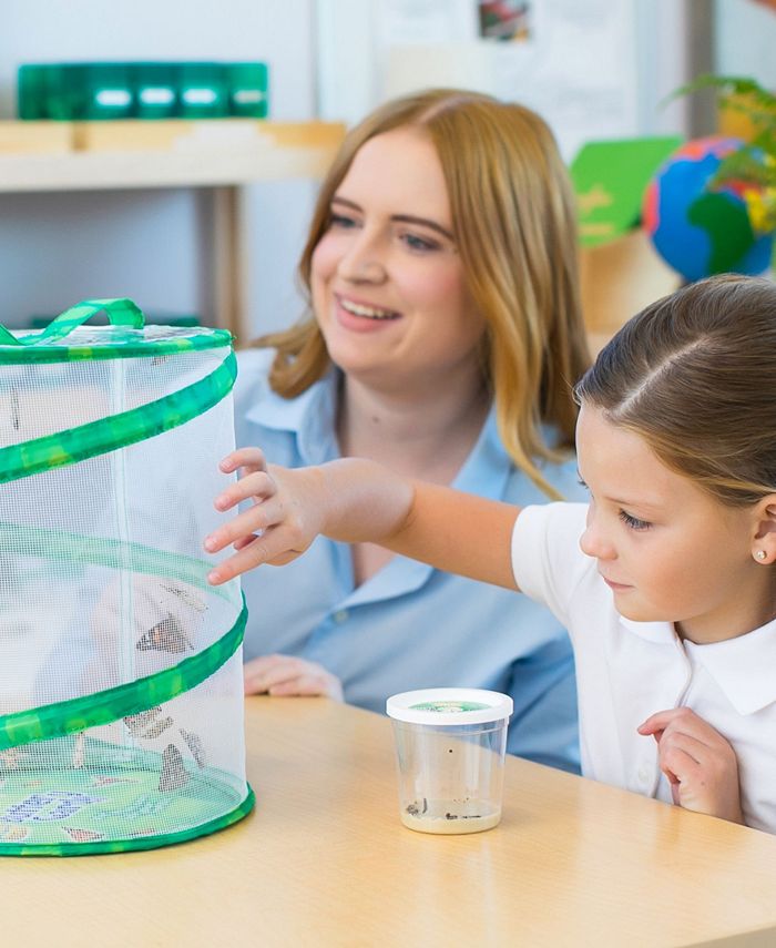 Insect Lore STEM Educational Butterfly Life Cycle Growing Kit - Macy's