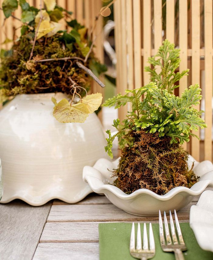 Coton Colors Signature White Collection - Macy's