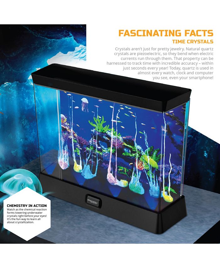 Discovery #MINDBLOWN Crystal Aquarium Tank DIY Underwater Garden - Macy's