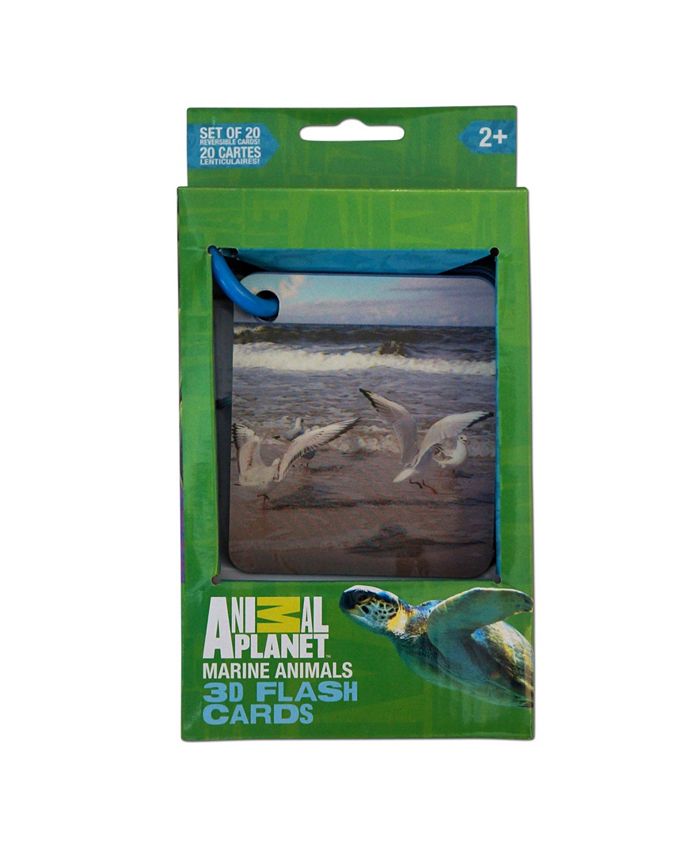 Smart Play Animal Planet 3D Flash Cards Set, Marine Animals, 20 Pieces ...