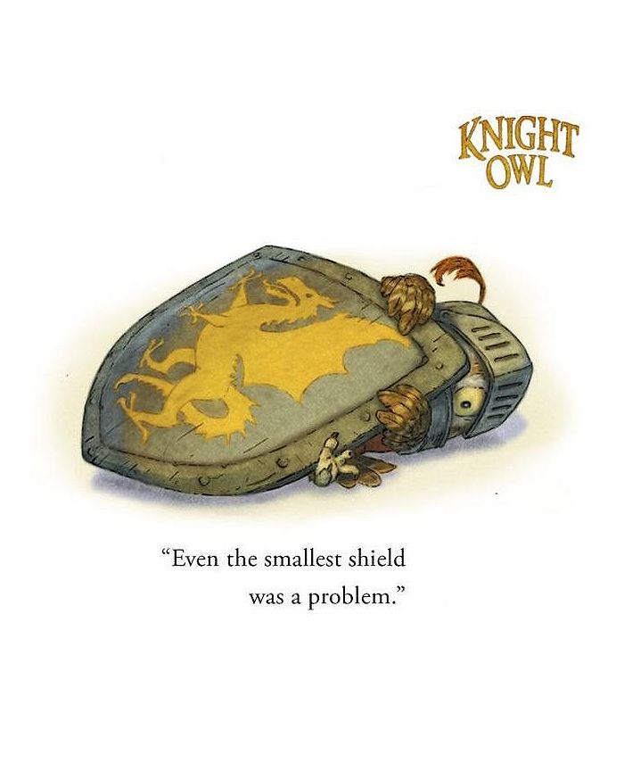 Barnes & Noble Knight Owl By Christopher Denise - Macy's