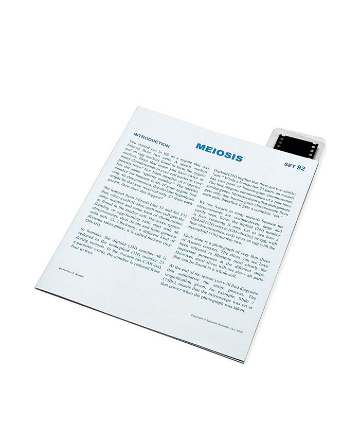Supertek Microslide, Plant Meiosis - Macy's
