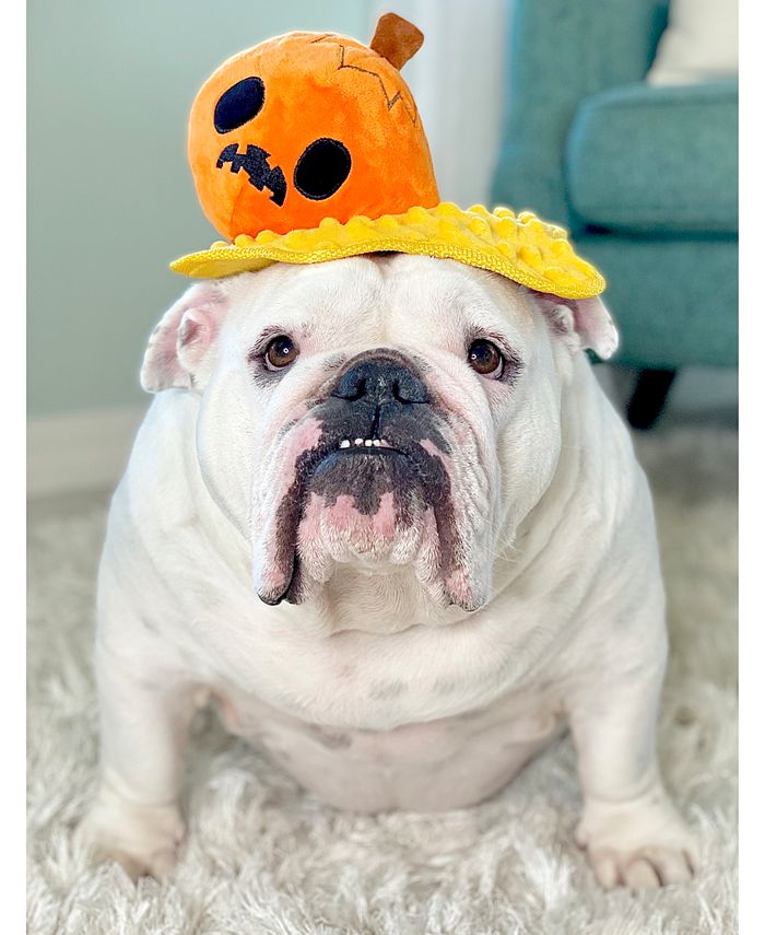 BarkBox Smashing Pupkin Plush Crinkly Squeaky Dog Toy - Macy's