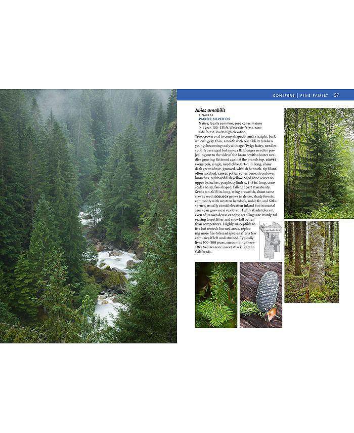 Barnes & Noble Trees and Shrubs of the Pacific Northwest by Mark Turner - Macy's