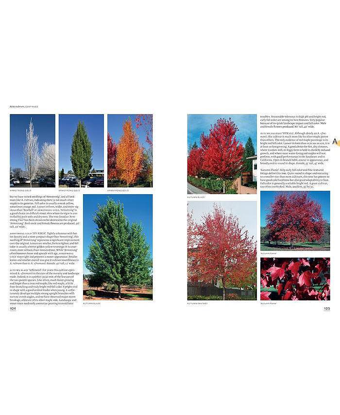 Barnes & Noble The Tree Book - Superior Selections for Landscapes, Streetscapes, and Gardens by ...