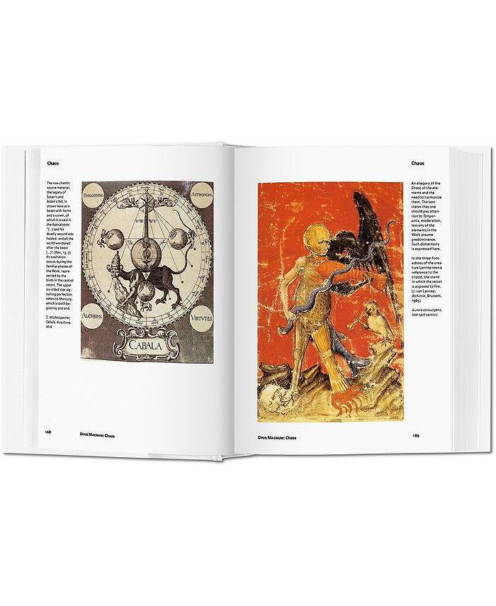 Barnes & Noble Alchemy & Mysticism by Alexander Roob - Macy's