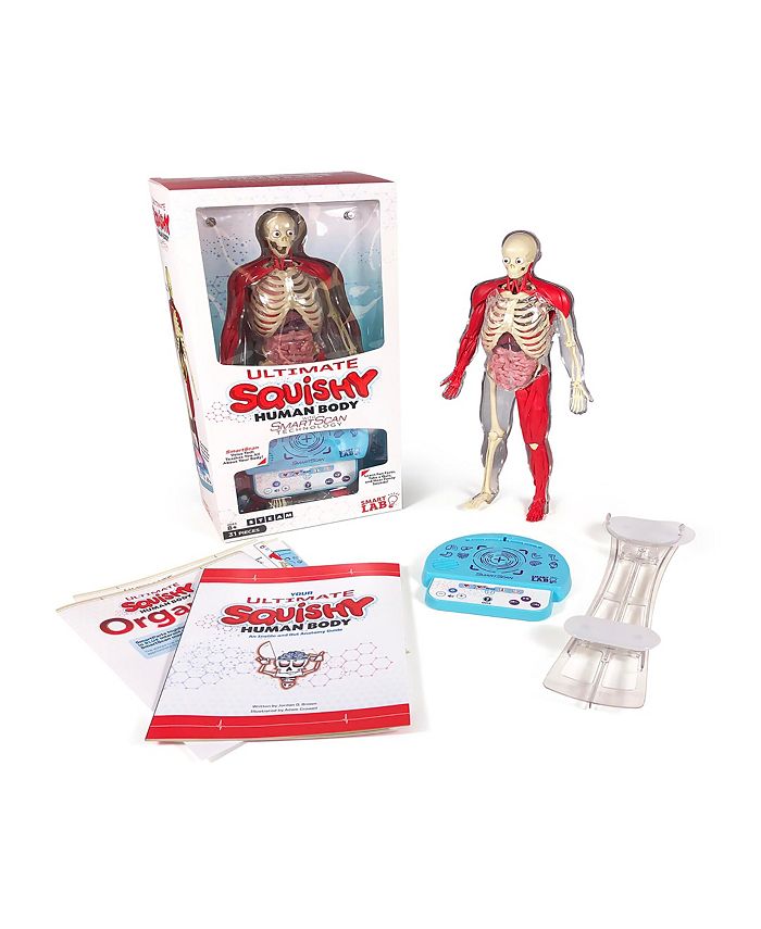 SmartLab Toys Ultimate Squishy Human Body Lab with Smartscan Technology ...