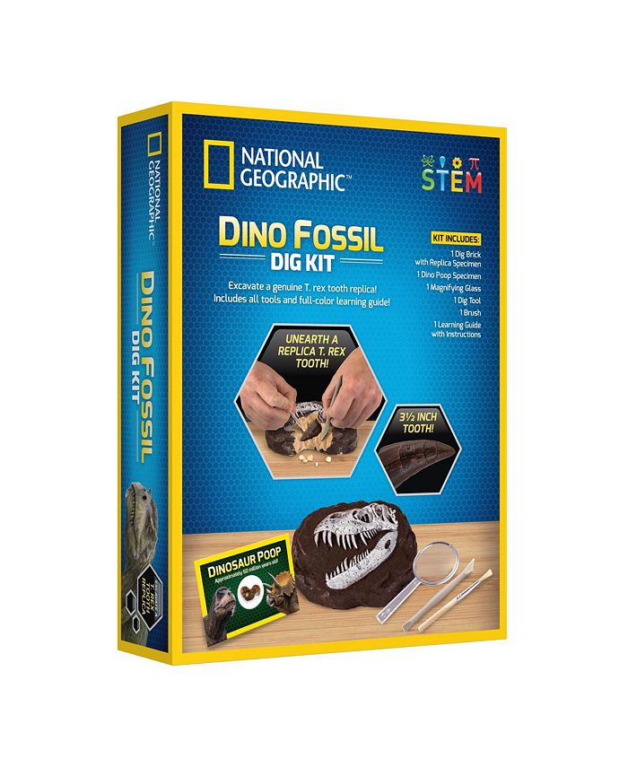 National Geographic Dino Dig Kit - Macy's