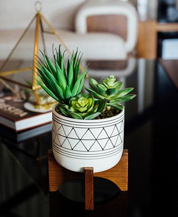 Flora Bunda Faux Succulents in Gold Handprint Ceramic Footed Stand, 5 ...