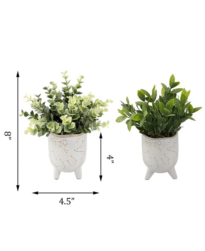 Flora Bunda Tea Leaf in Constellation Footed Set, 2 Piece - Macy's