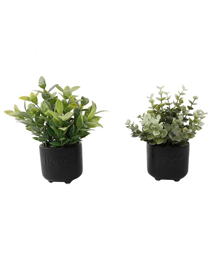 Flora Bunda Eucalyptus Tealeaf in Mini Boo Ceramic Pot Set, 2 Piece ...