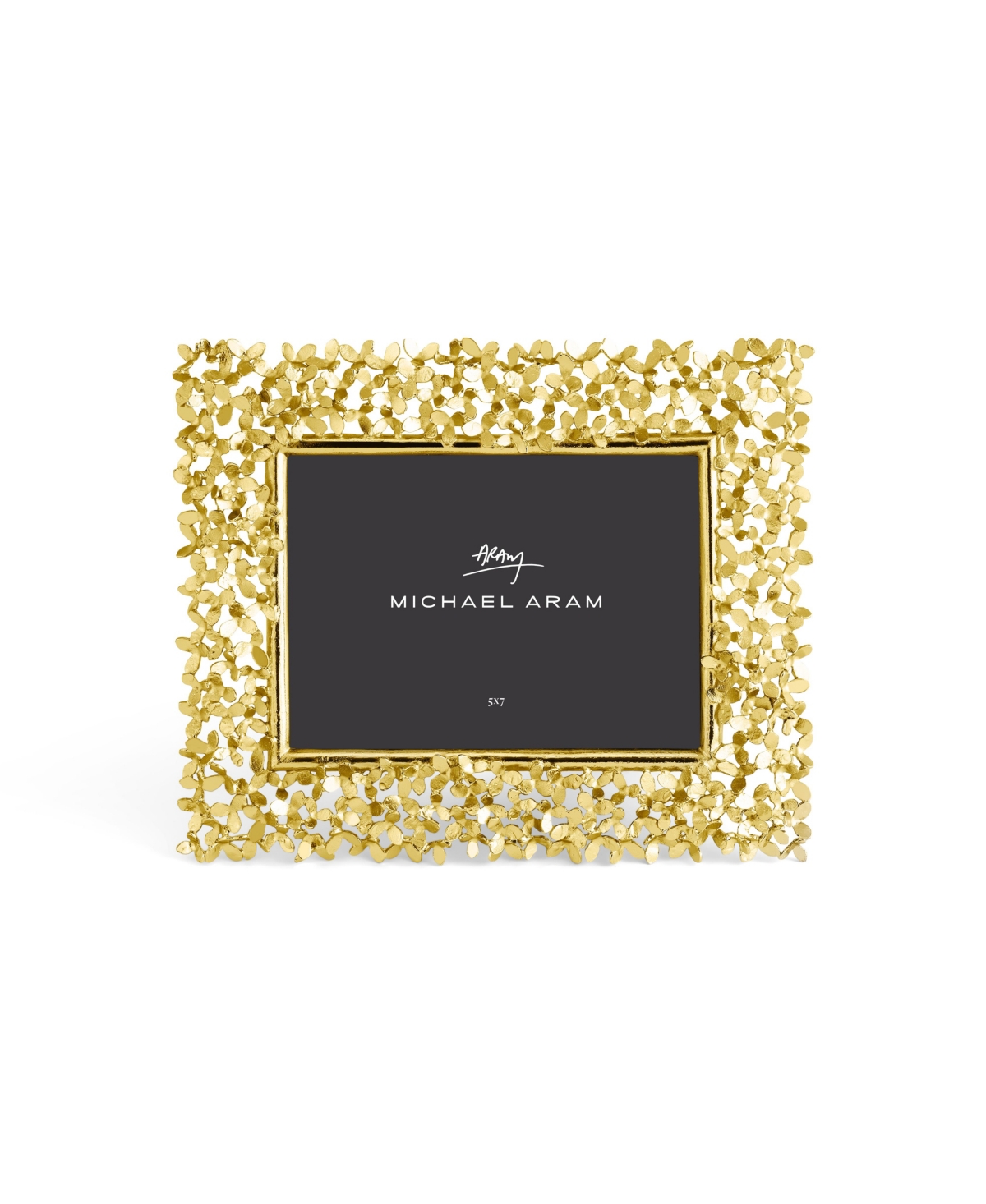 Click here for Michael Aram Dandelion Frame - Gold-Tone prices