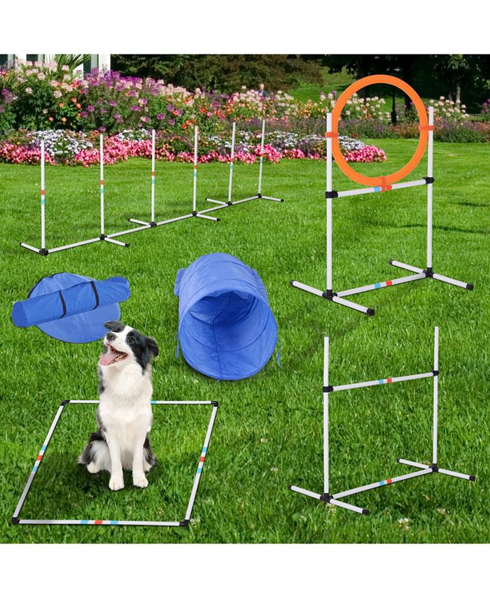 PawHut Outdoor Dog Pet Agility Training Equipment Backyard Starter ...
