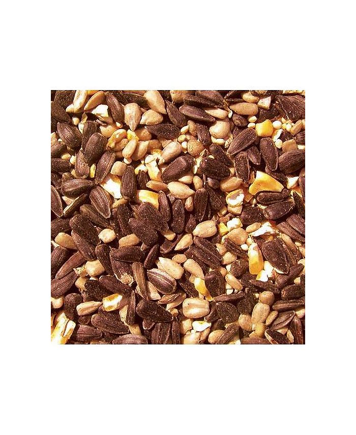 Cole's BH20 Blazing Hot Blend Bird Seed 20-Pound - Macy's