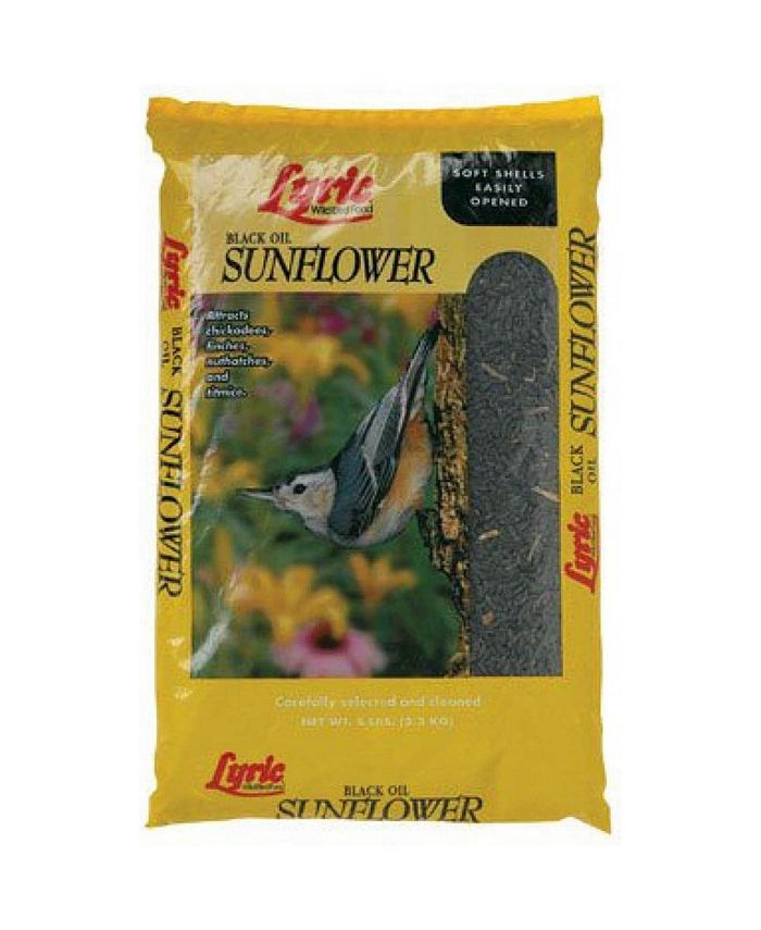 GreenView Lyric Oil Sunflower Bird Seed 10lb - Macy's