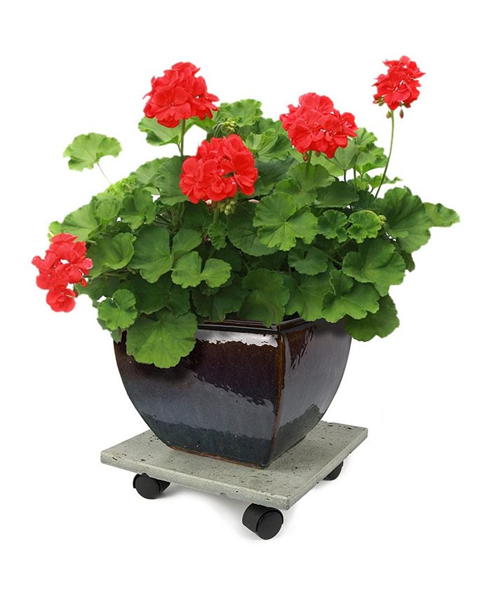 Plastec CD712 Terra Stone Plant/Flower Pot Moveable Caddy, Gray, 12 ...