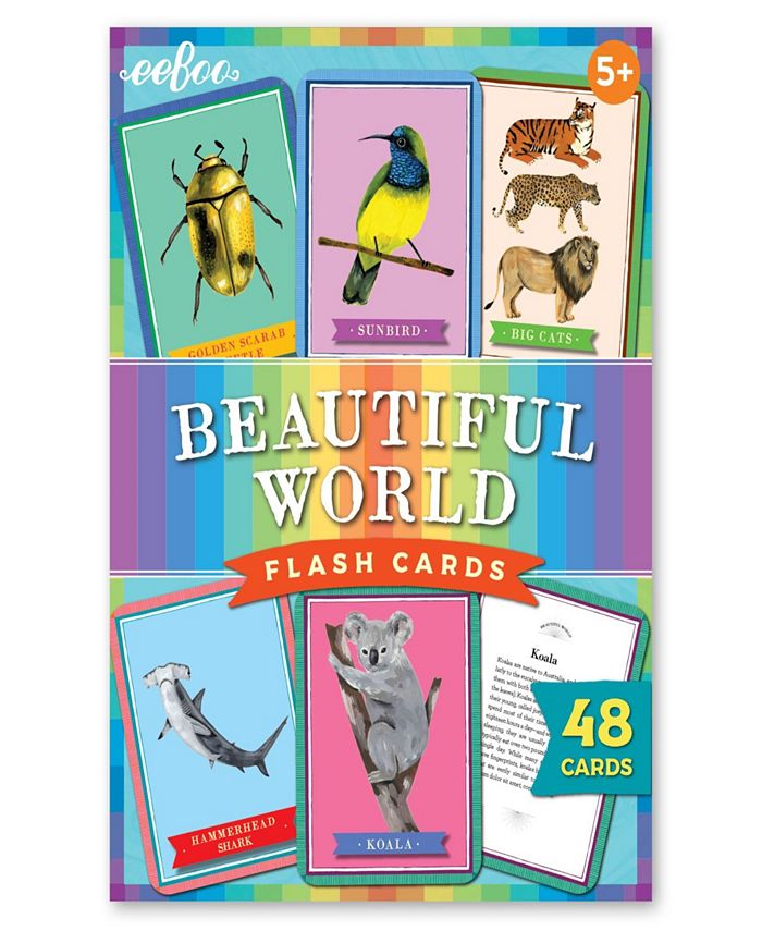 Eeboo Beautiful World Educational Flash Cards 48 Piece Set - Macy's