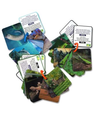 Smart Play Animal Planet 3D Creatures Flash Cards Set - Set of 3 - Macy's
