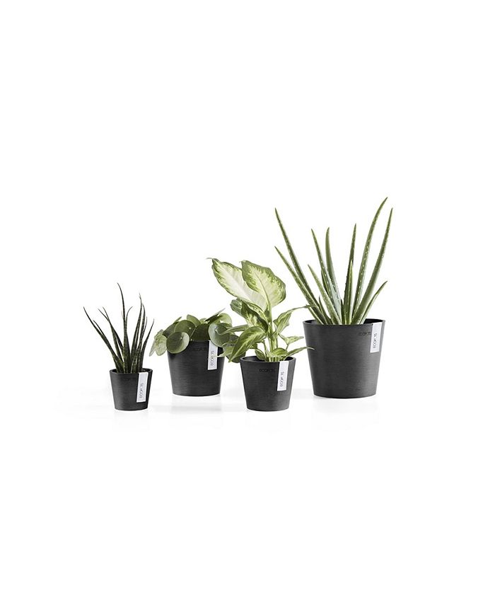 ECOPOTS Amsterdam Modern Round Indoor and Outdoor Planter, 5in - Macy's