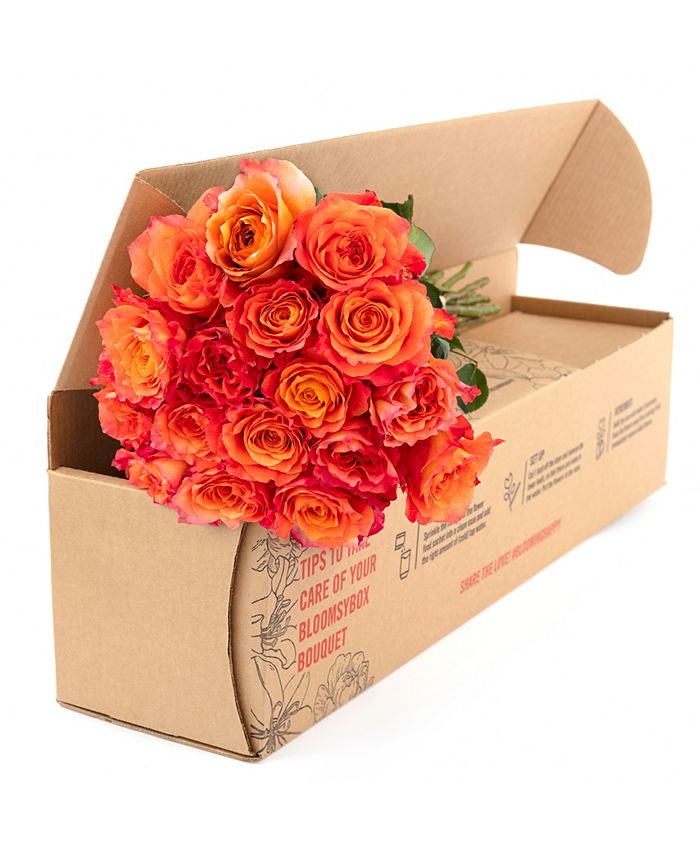 BloomsyBox Free-Spirited Fresh Flower Bouquet - Macy's
