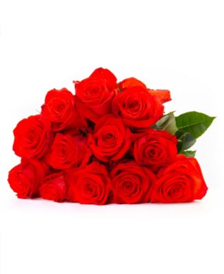 BloomsyBox One Dozen Long Stem Red Roses Fresh Flower Bouquet - Macy's