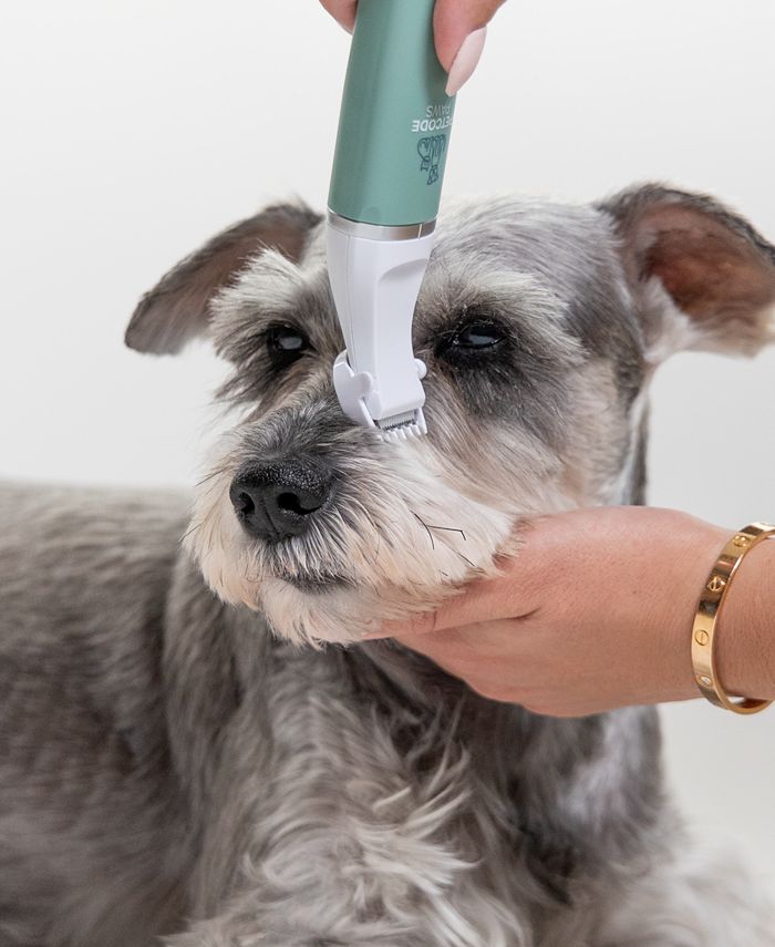 Petcode Paws 4-in-1 Pet Styler Trimmer Filer For Dogs and Cats - Macy's