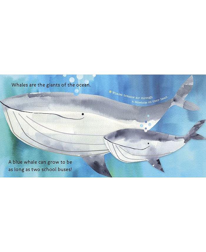 Barnes & Noble Hello, World! Ocean Life by Jill McDonald - Macy's