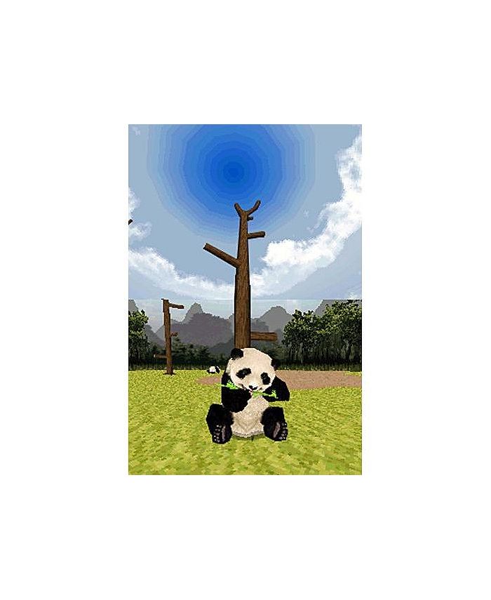 Namco Bandai National Geographic Panda - Nintendo DS - Macy's