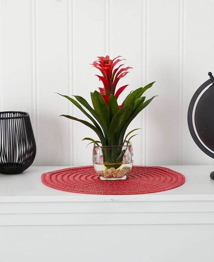 Nearly Natural Bromeliad Artificial Arrangement in Glass Vase - Macy's
