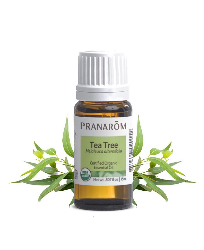 Pranarom Tea Tree Essential Oil 15ml - Macy's