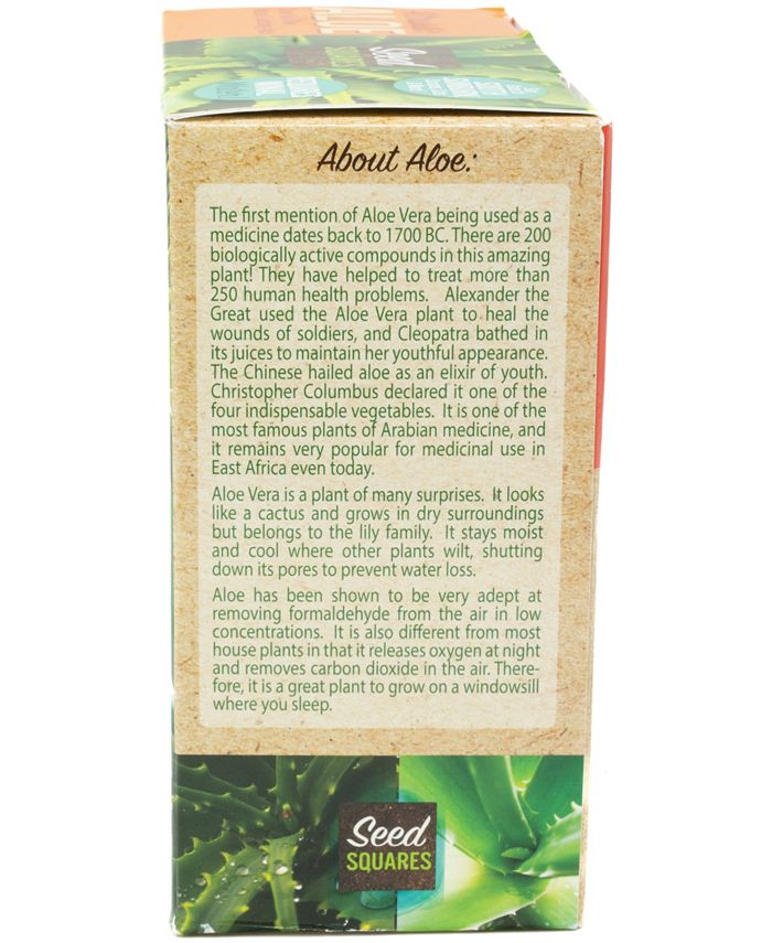 Areyougame Unique Gardener Seed Squares Altruistic Aloe Plant Kit - Macy's