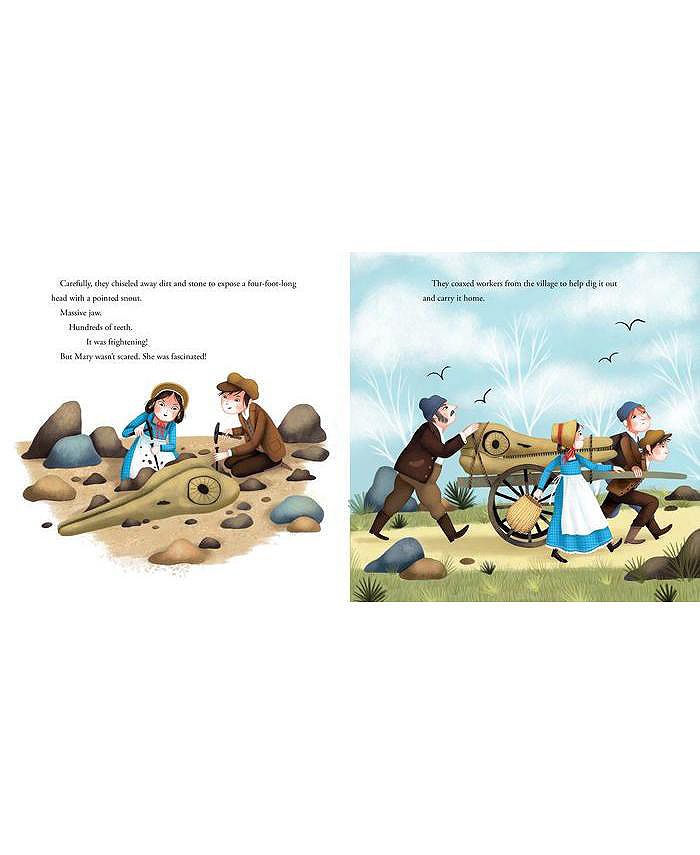 Barnes & Noble Dinosaur Lady- The Daring Discoveries of Mary Anning ...