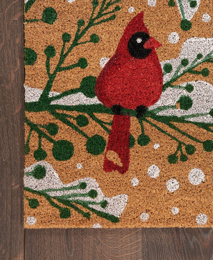 Nourison Home Nourison Cardinal Coir Door Mat - Macy's