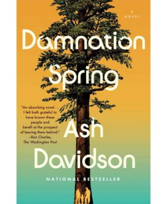 Damnation Spring by Ash Davidson - Macy's